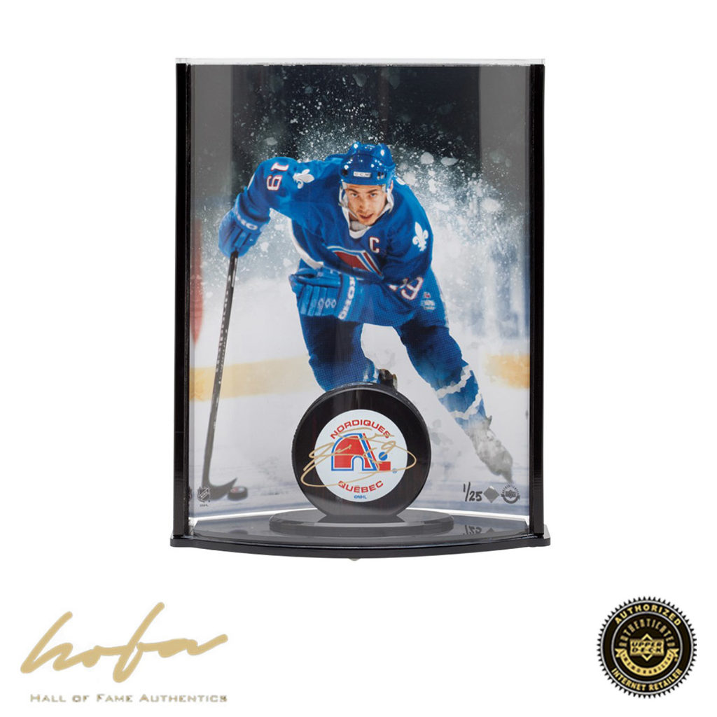 JOE SAKIC NORDIQUES CURVE DISPLAY - Hall of Fame Authentics